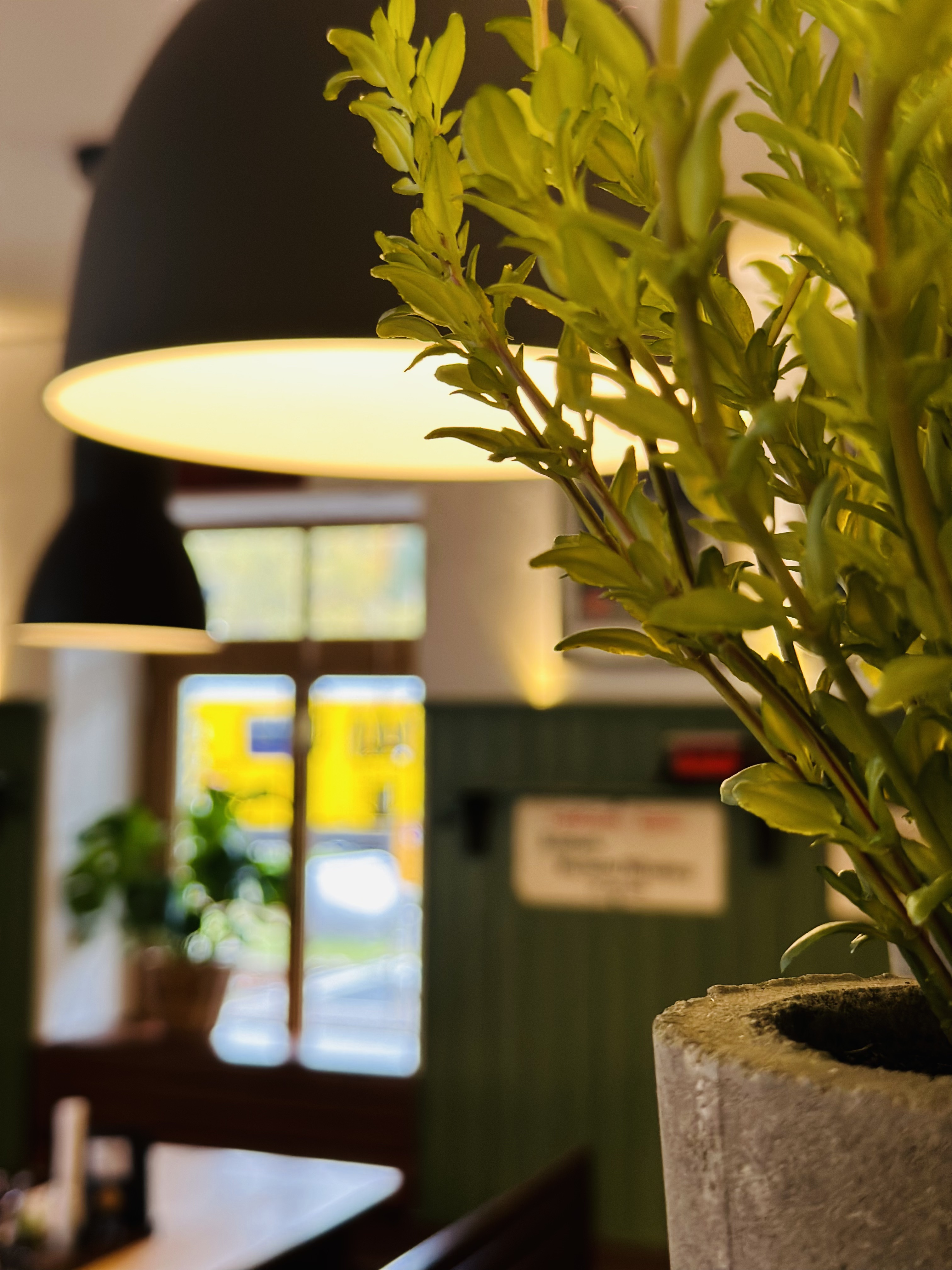 Gleis1 Amorbach - Startseite